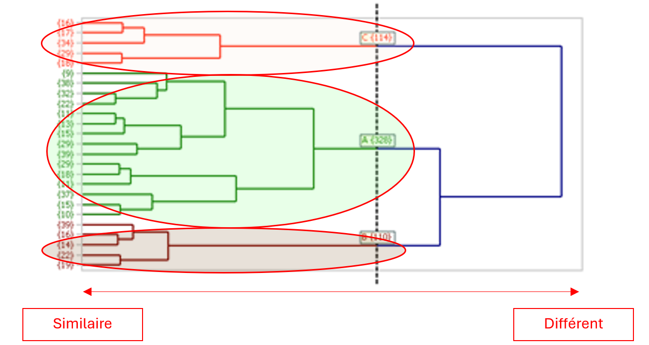 Classification Hiérarchique Ascendante : Guide complet